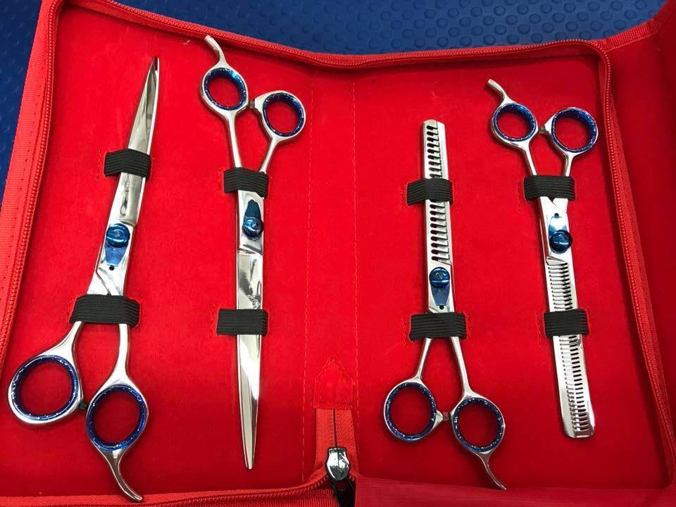 new scissor pack - Absolutely Animals Ltd | Online Shop