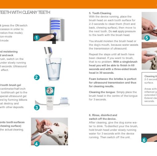 Cleany Teeth Starter Kit - Absolutely Animals | Online Shop